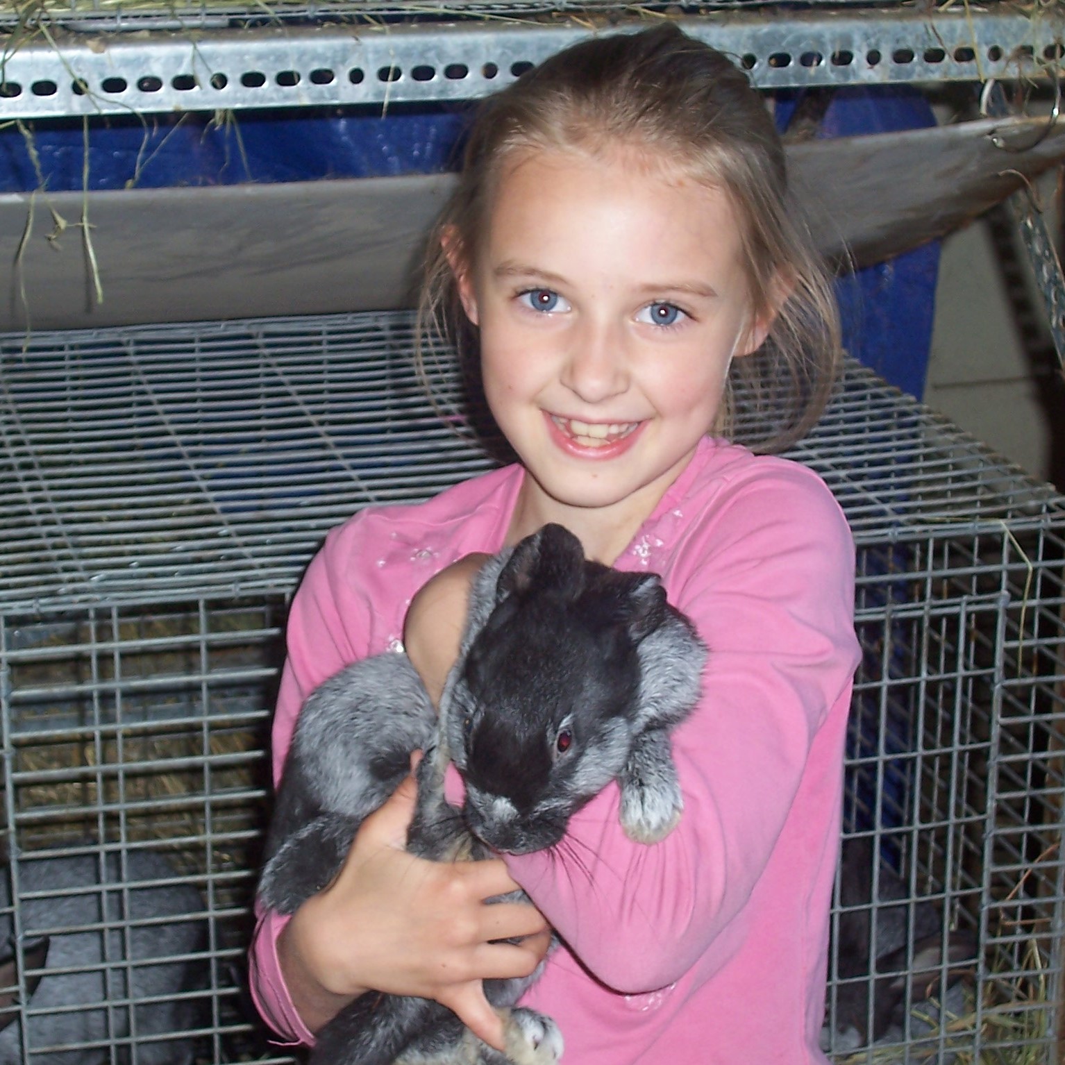 Raise Meat Rabbits: Quick Start Guide - Homestead Rabbits