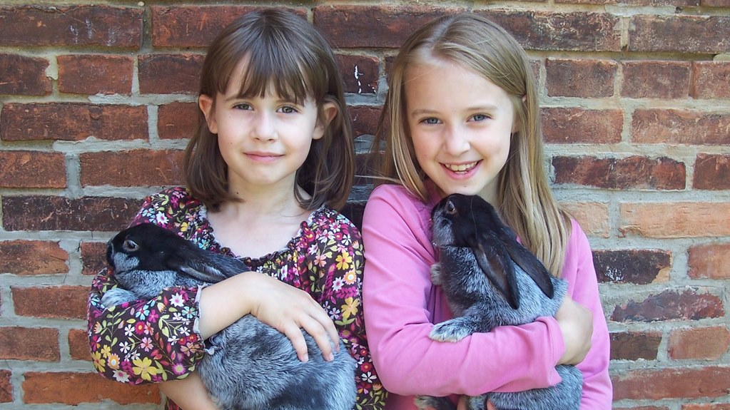 About Us - Homestead Rabbits