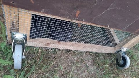 The Best Rabbit Tractor for Homesteaders - Homestead Rabbits