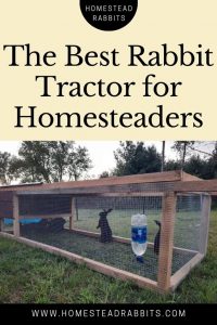 The Best Rabbit Tractor for Homesteaders - Homestead Rabbits
