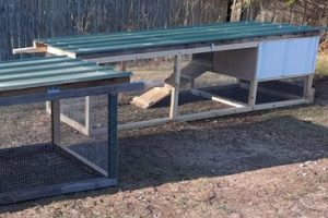 Raise Meat Rabbits: Quick Start Guide - Homestead Rabbits
